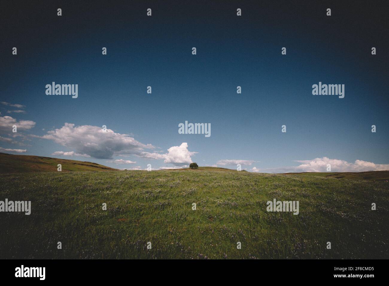 Distant landforms hi-res stock photography and images - Alamy