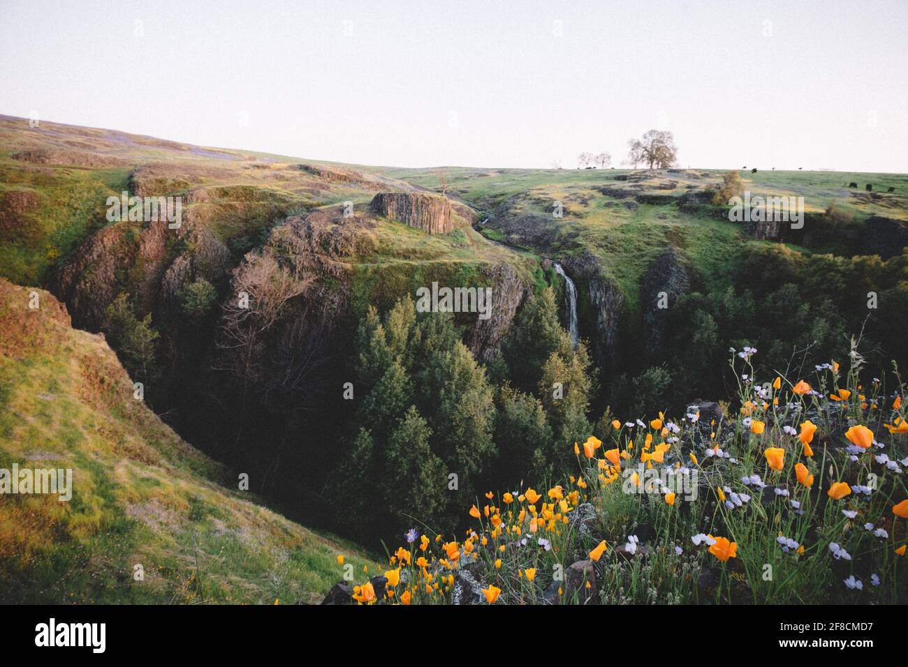 Poppy waterfall hi-res stock photography and images - Alamy