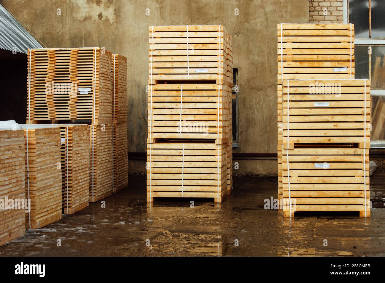 the texture of many tree trunks. the sawn-down tree trunks are stored ...