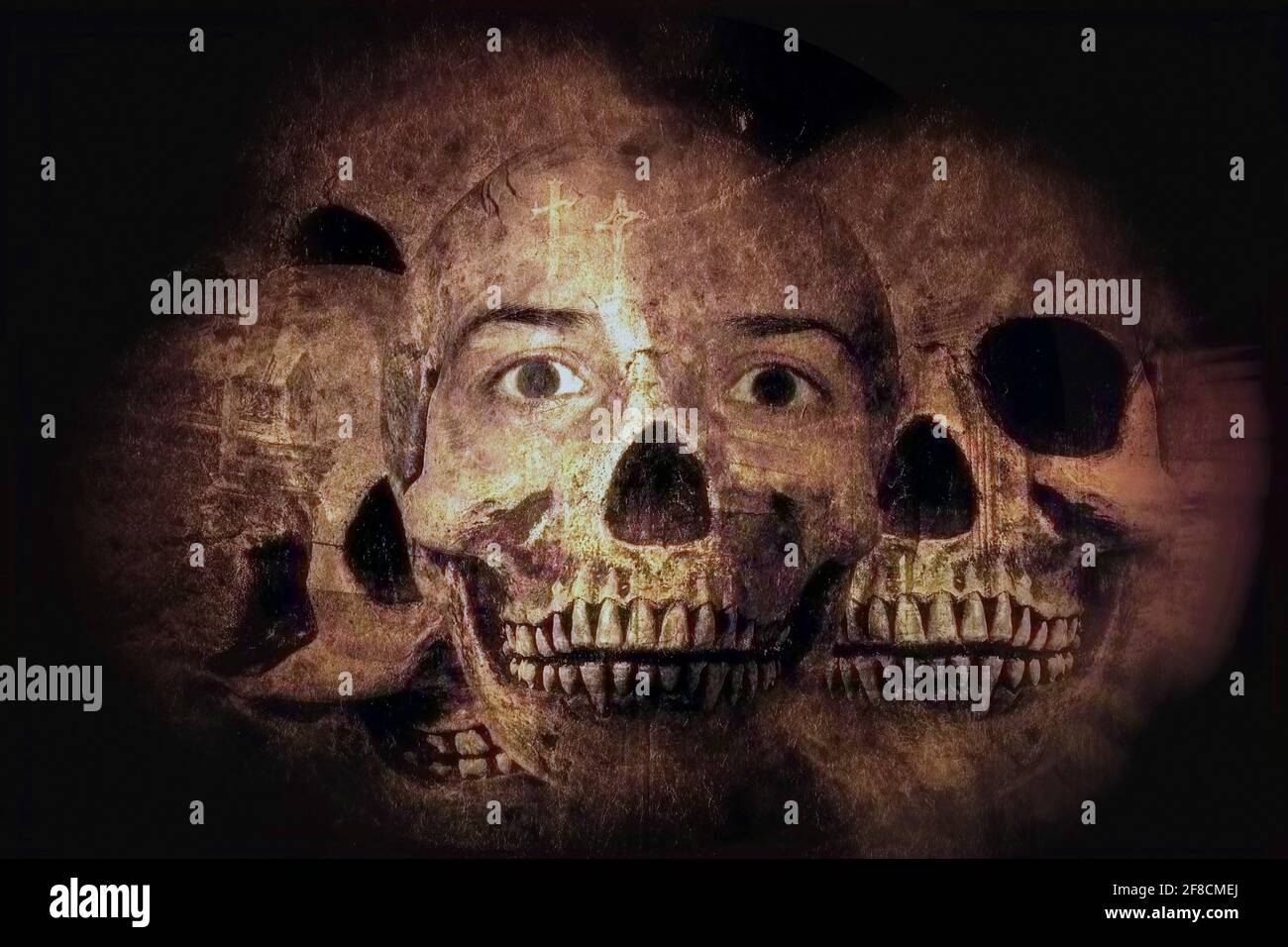 Skeleton still life hi-res stock photography and images - Alamy