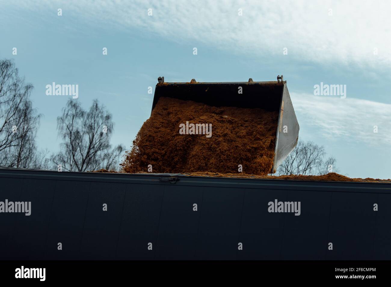 an industrial excavator loads the truck body with raw materials. pour ...