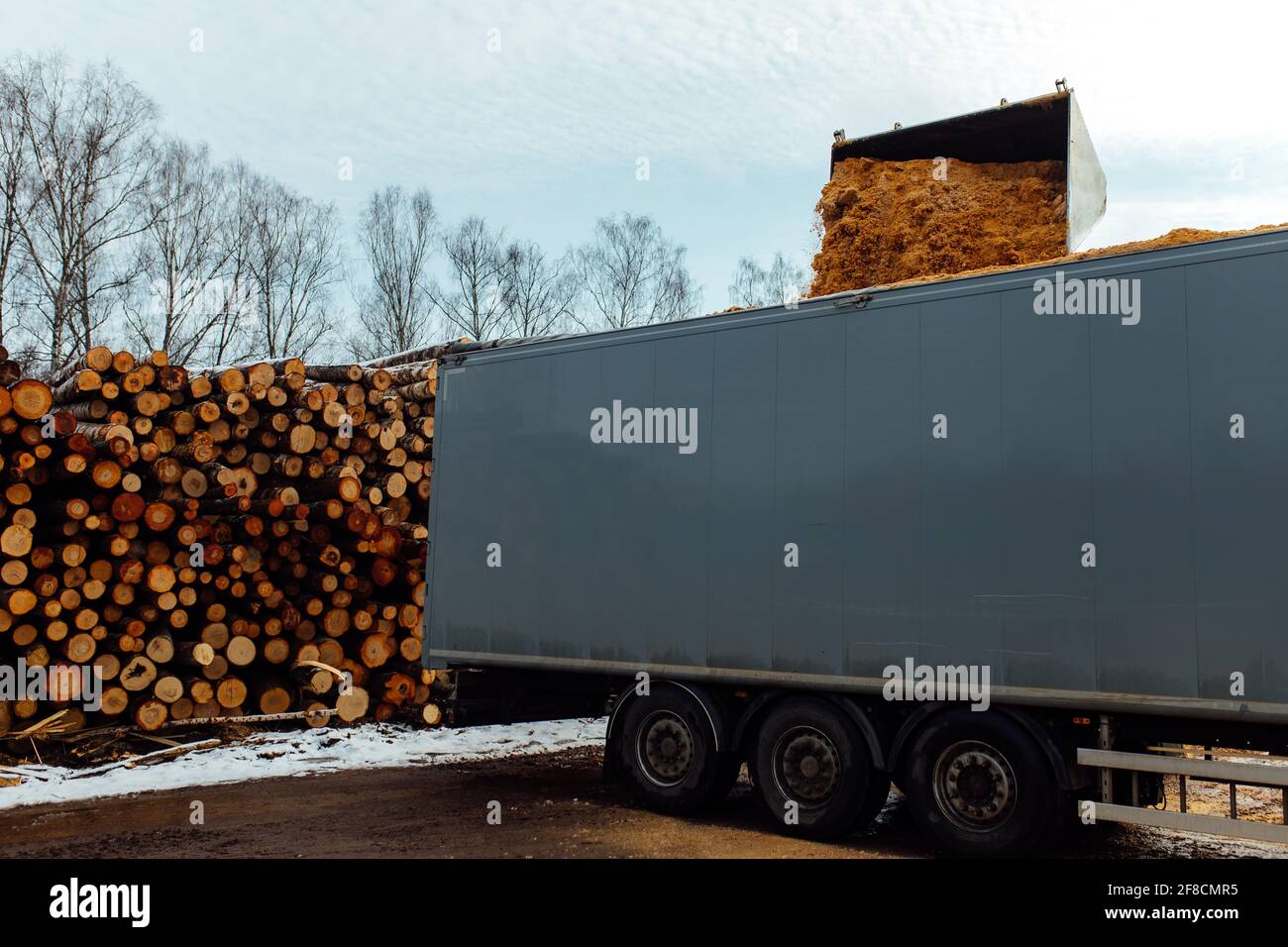 an industrial excavator loads the truck body with raw materials. pour ...