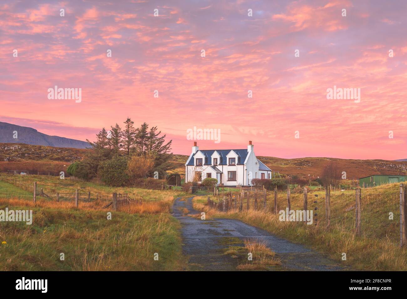 Vibrant, pink colourful sunset or sunrise sky over traditional, rural ...
