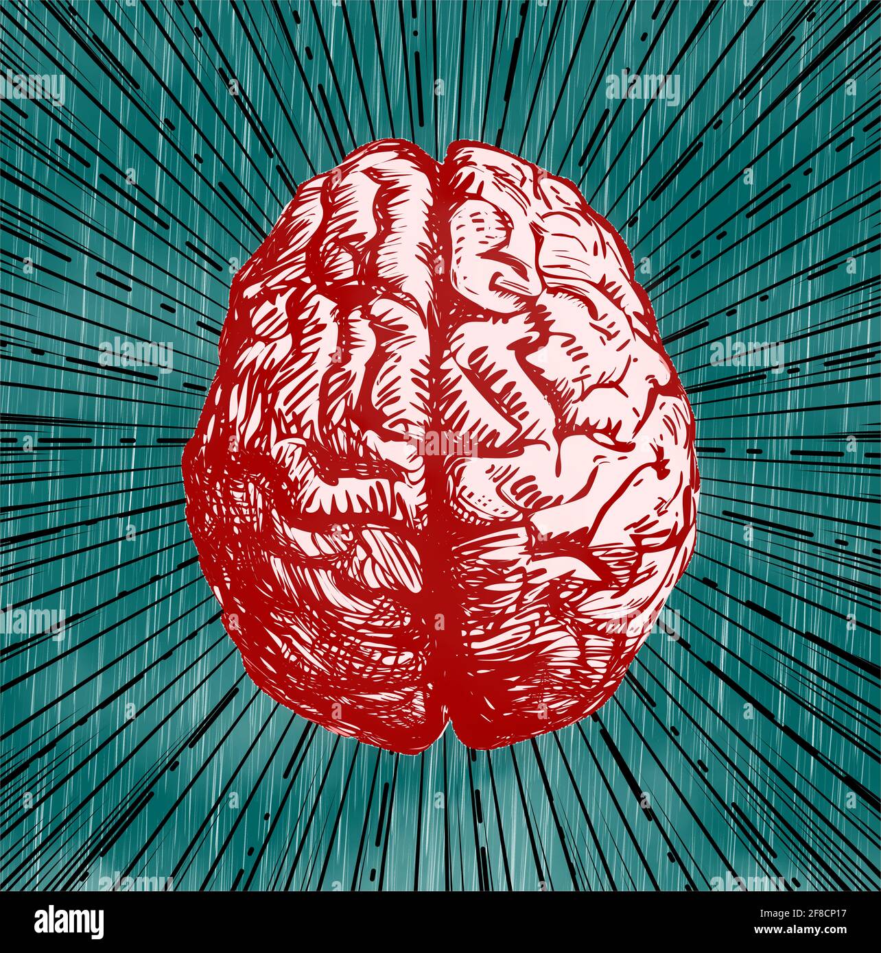 Human brain illustration, top view Stock Photo - Alamy