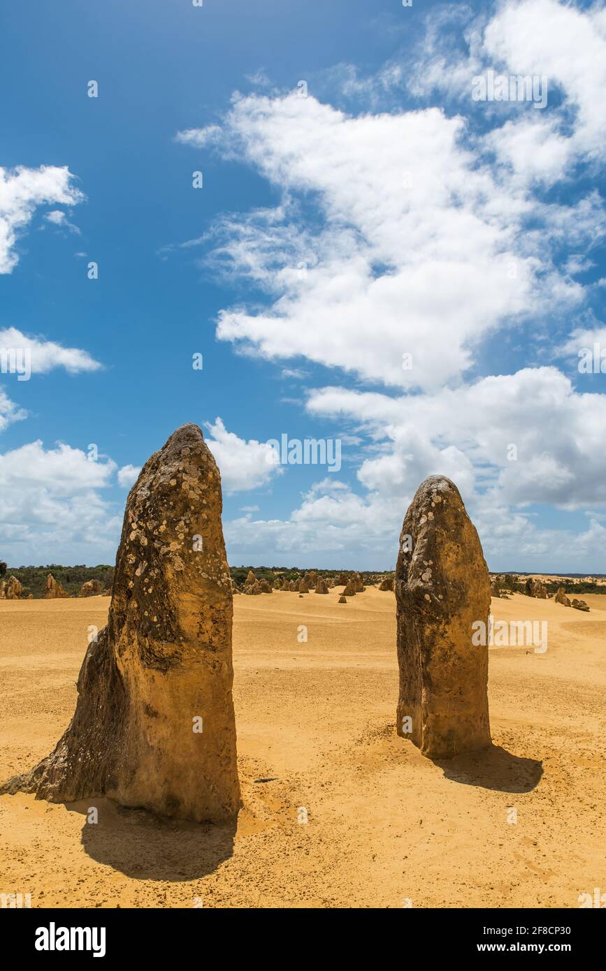 The Pinnacles Desert (Nambung National Park, Cervantes, Western ...