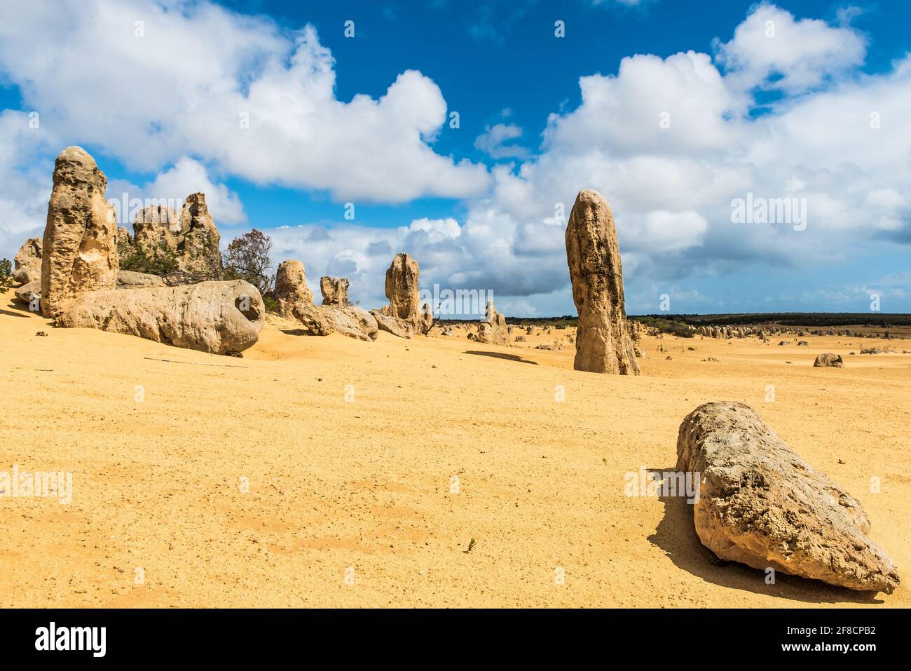 The Pinnacles Desert (Nambung National Park, Cervantes, Western ...