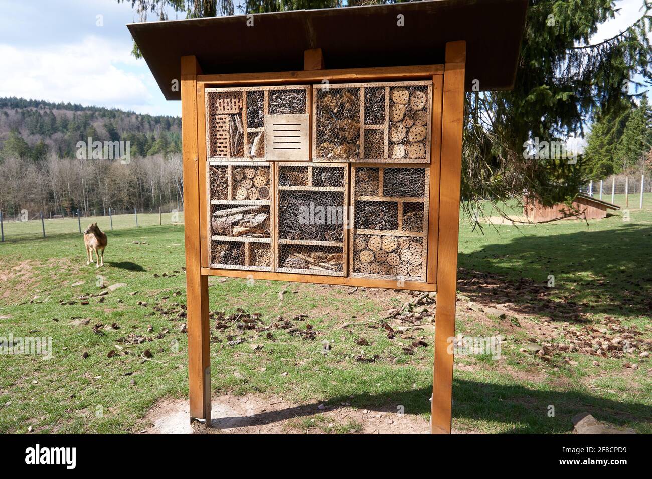 Insect building home hi-res stock photography and images - Alamy