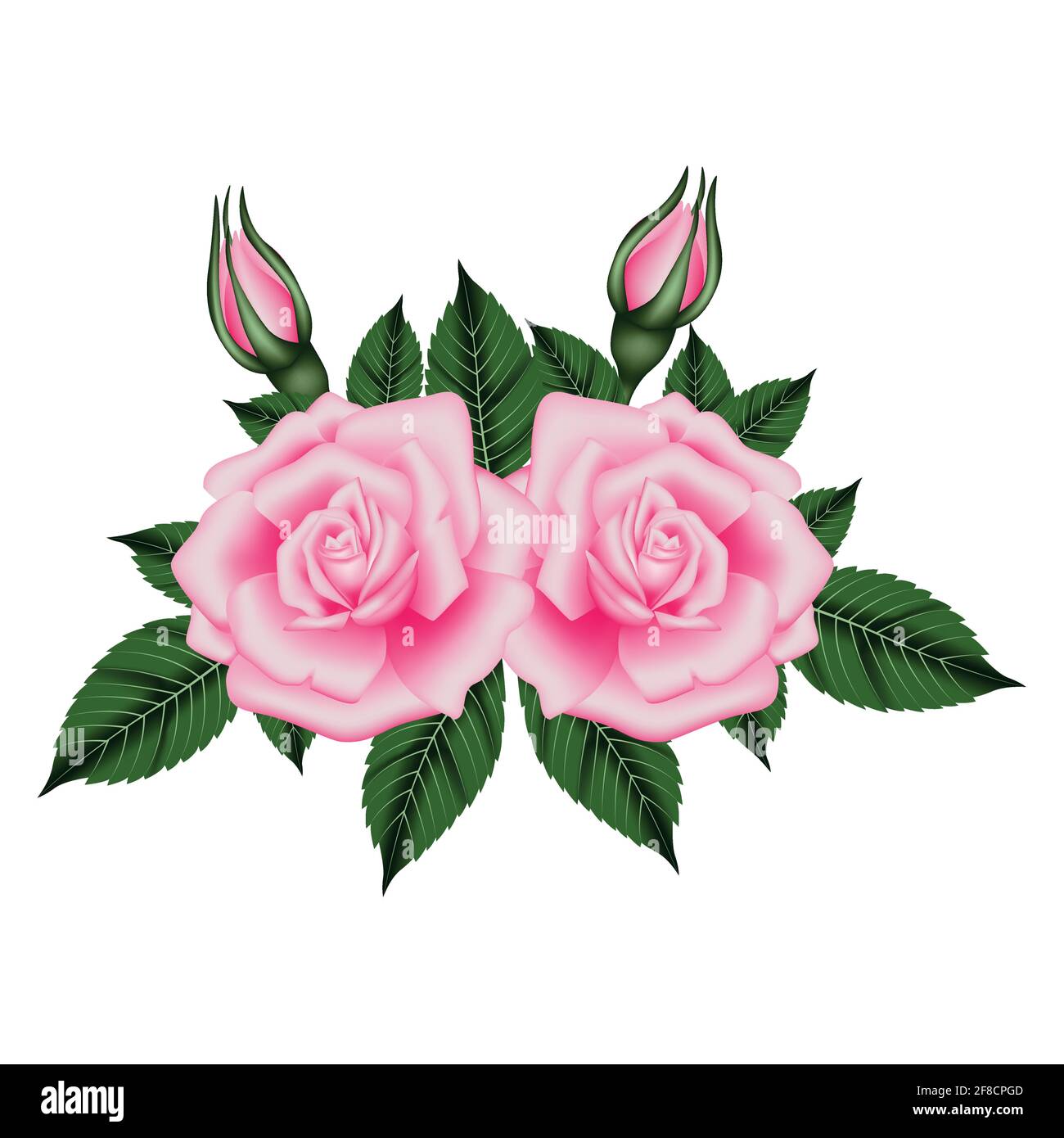 Vector Rose Bouquet
