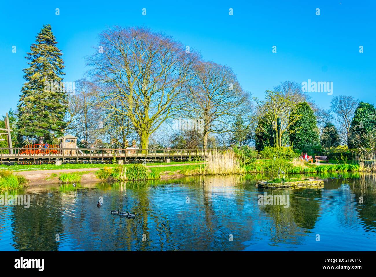 Grosvenor Park in Chester, England Stock Photo - Alamy