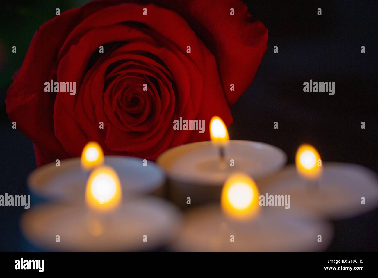 Romantic candles red rose hi-res stock photography and images - Alamy