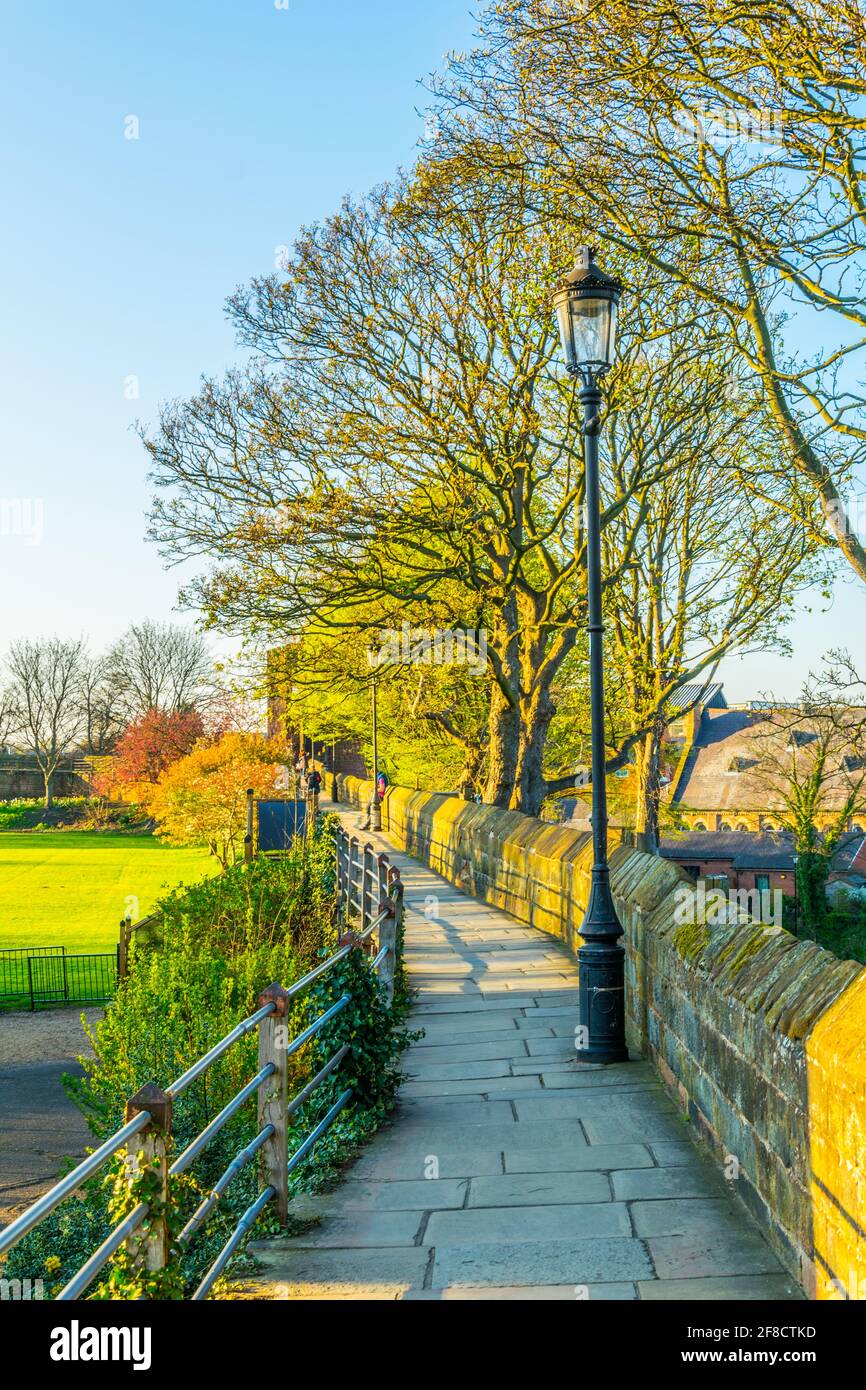 Deep Border Surrounding High Resolution Stock Photography and Images ...