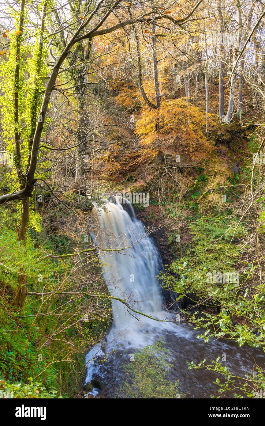 Falling Foss Waterfall at Littlebeck near Whitby, North York Moors. At ...