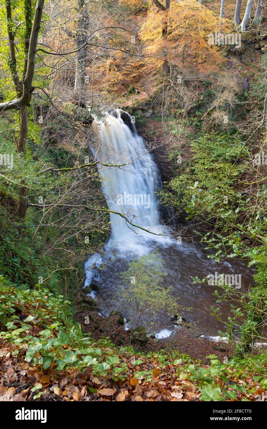 Falling Foss Waterfall at Littlebeck near Whitby, North York Moors. At ...