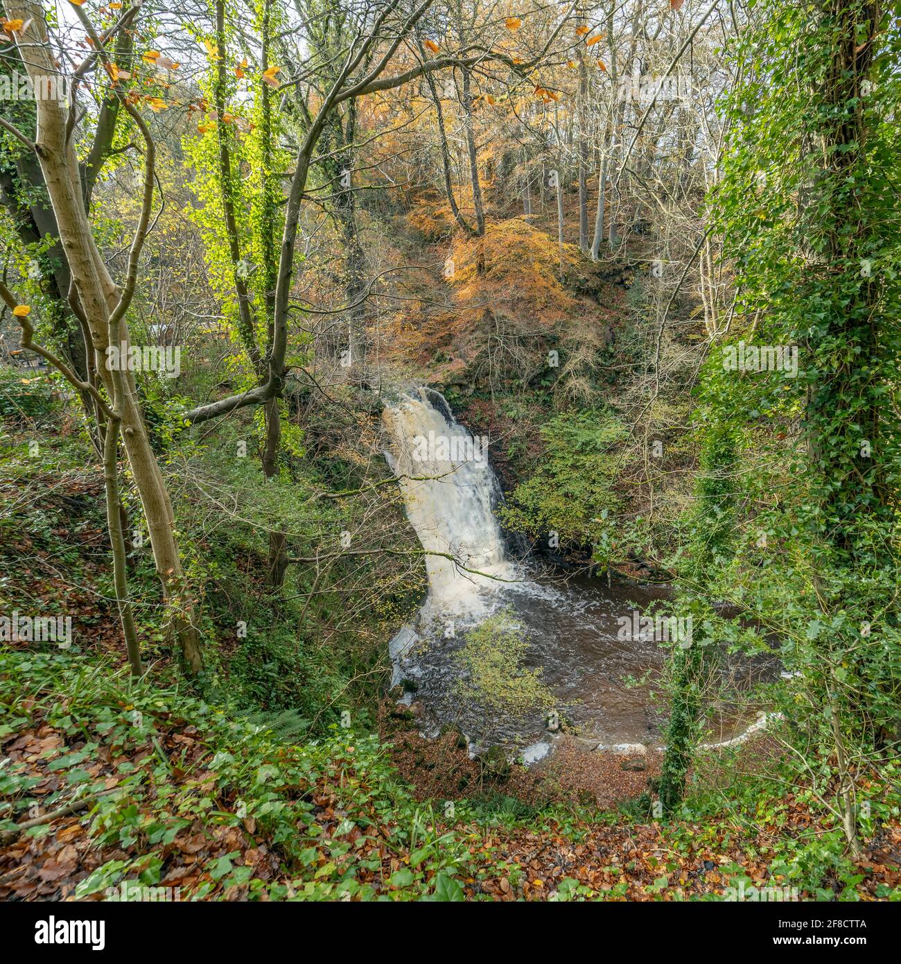 Waterfall foss whitby hi-res stock photography and images - Alamy
