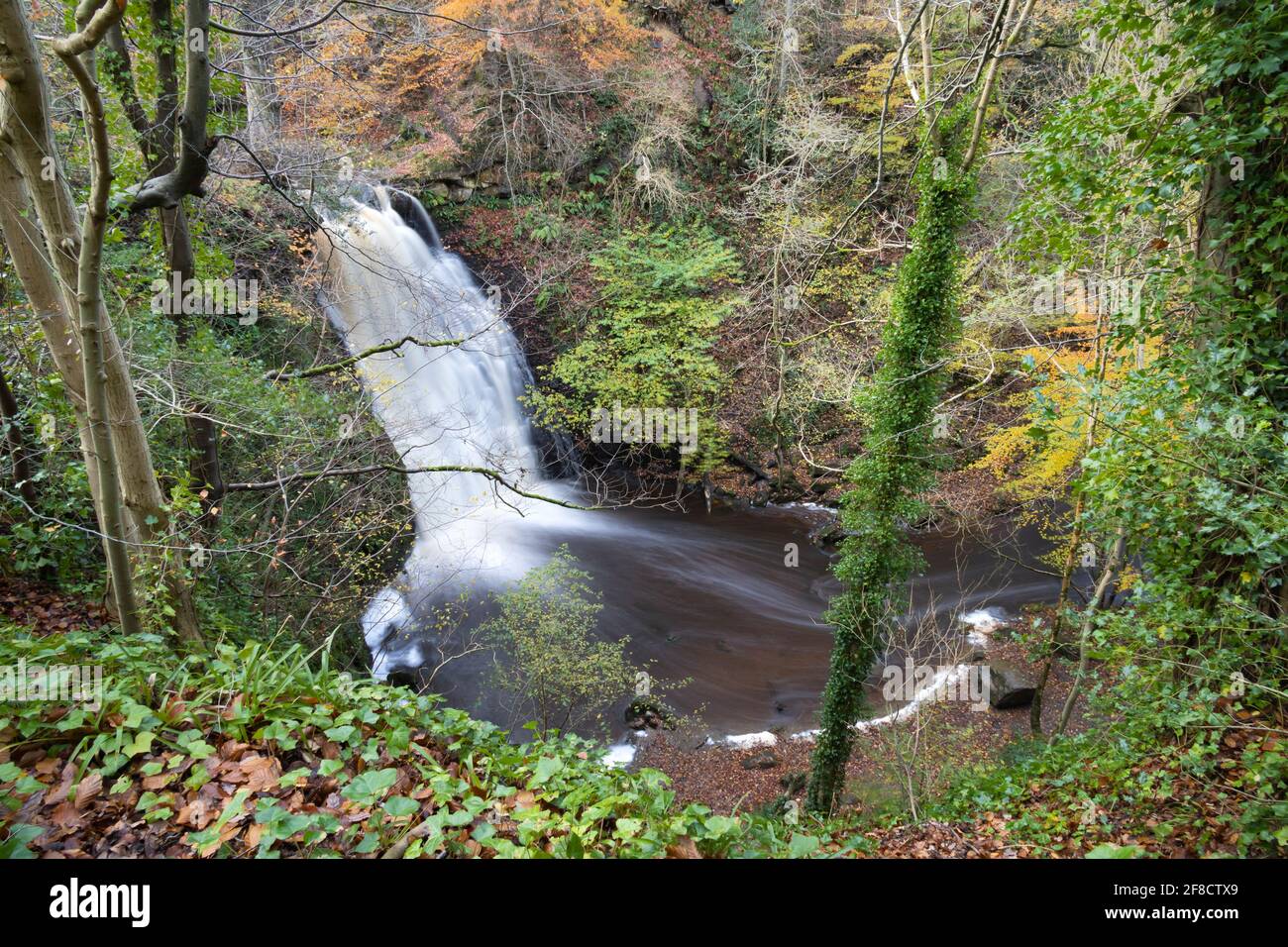 Falling Foss Waterfall at Littlebeck near Whitby, North York Moors. At ...