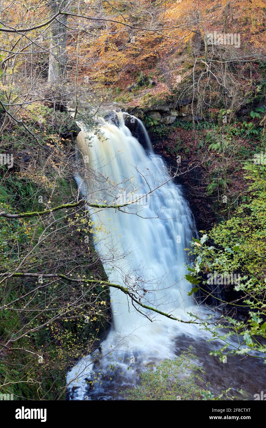 Falling foss whitby england hi-res stock photography and images - Alamy