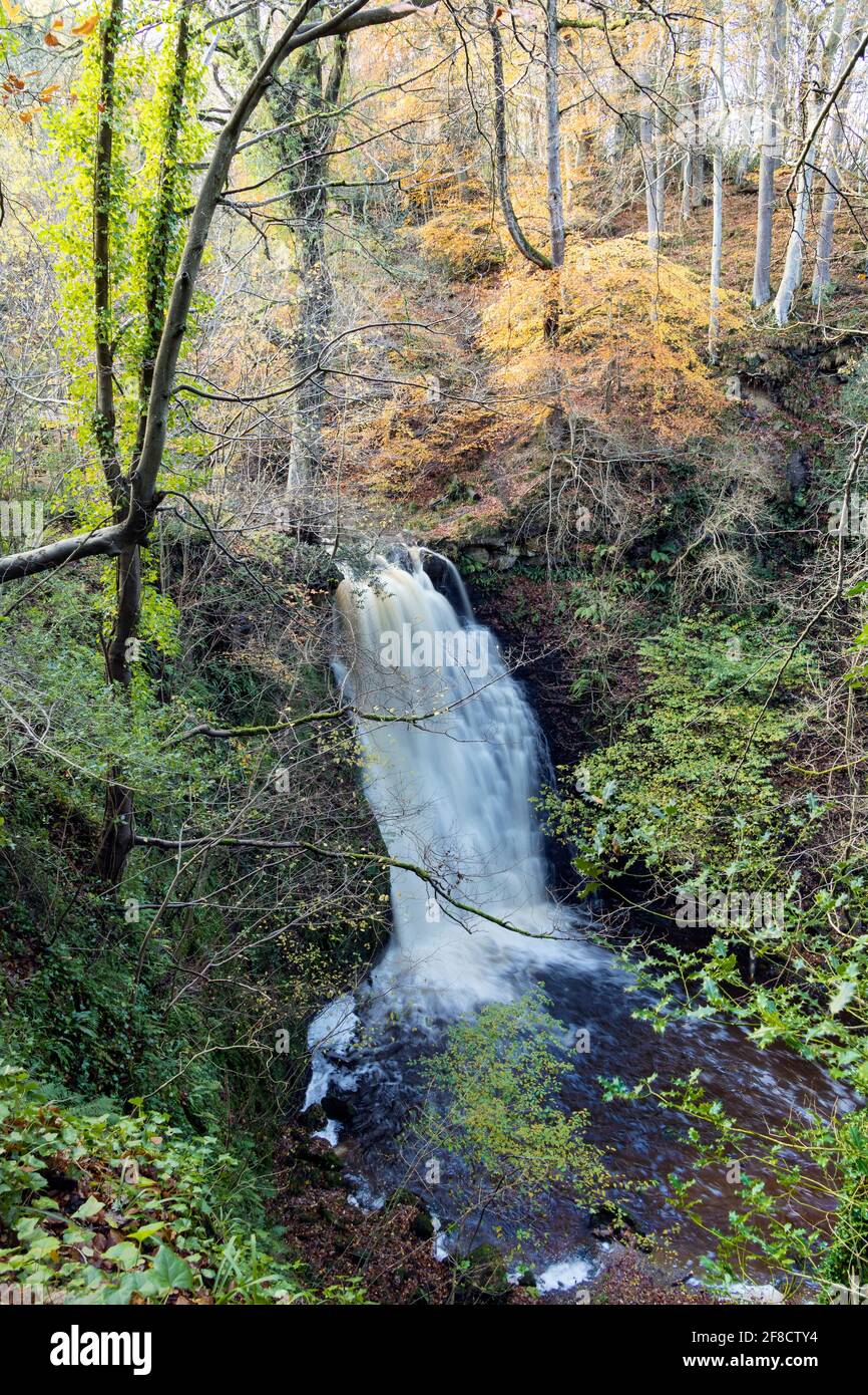 Falling Foss Waterfall at Littlebeck near Whitby, North York Moors. At ...