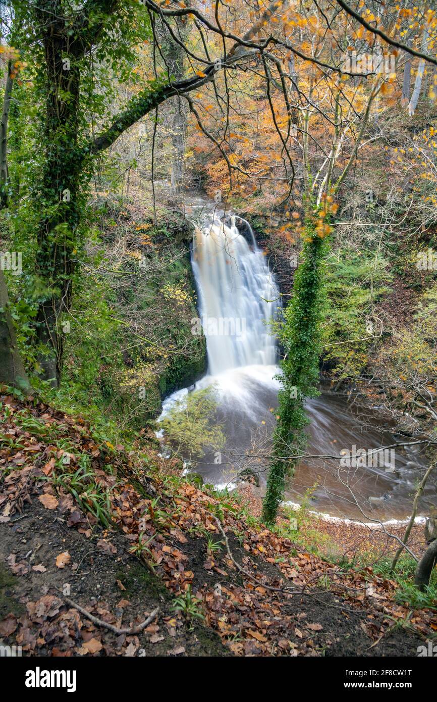 Falling foss whitby england hi-res stock photography and images - Alamy
