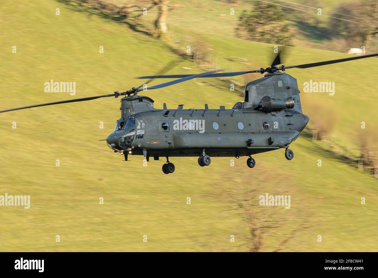 Chinook low level, Mach loop Stock Photo - Alamy