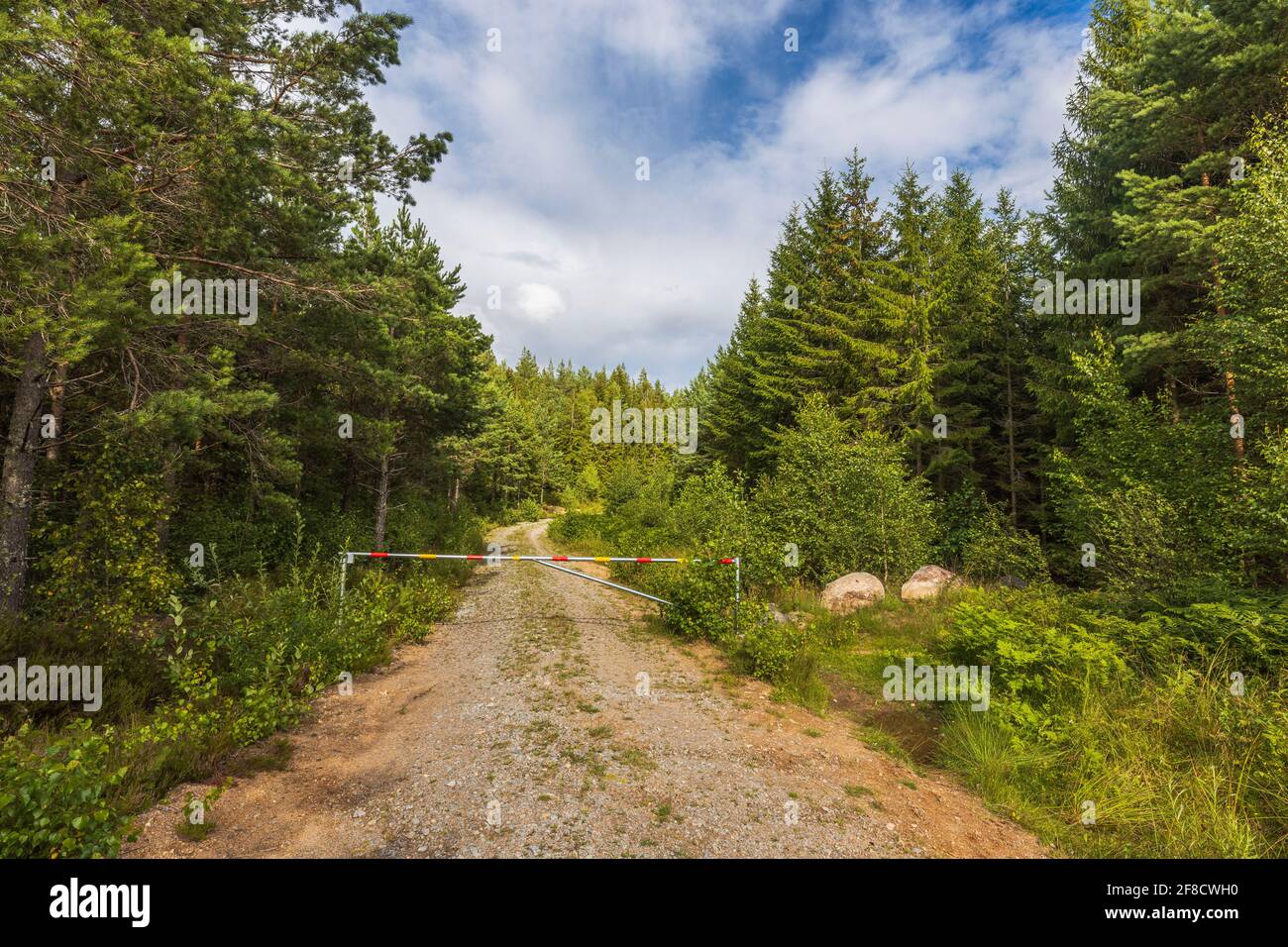 Beautiful nature landscape view. Road barrier on gravel road. Green ...