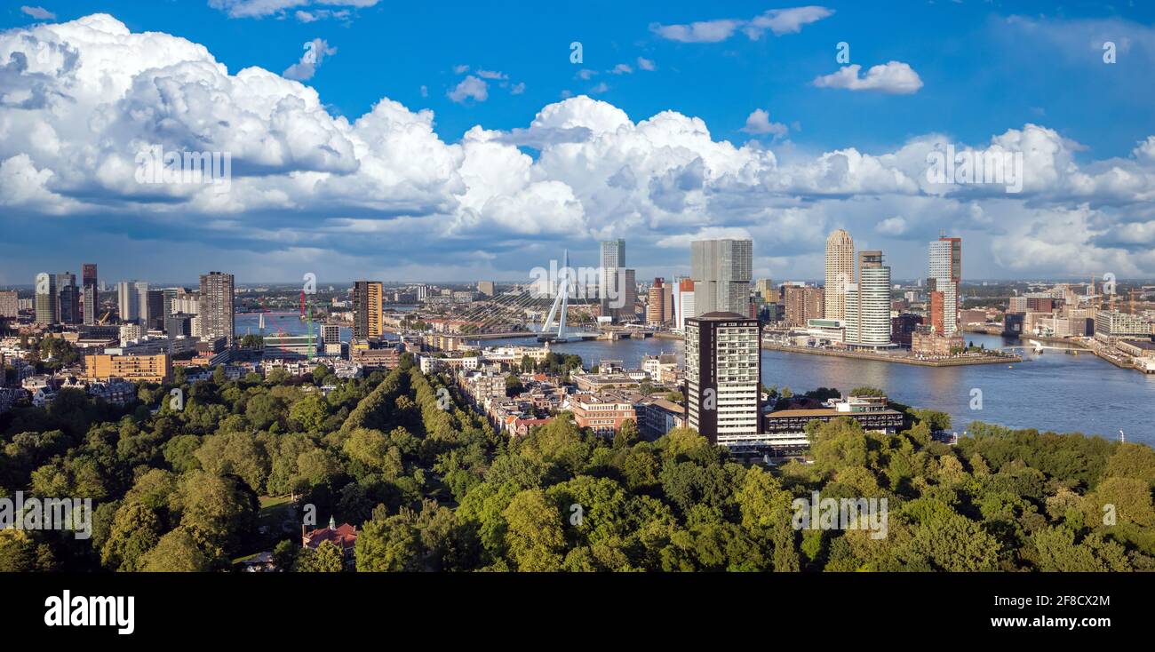 Rotterdam Netherlands cityscape and Erasmus bridge. Panoramic view from ...