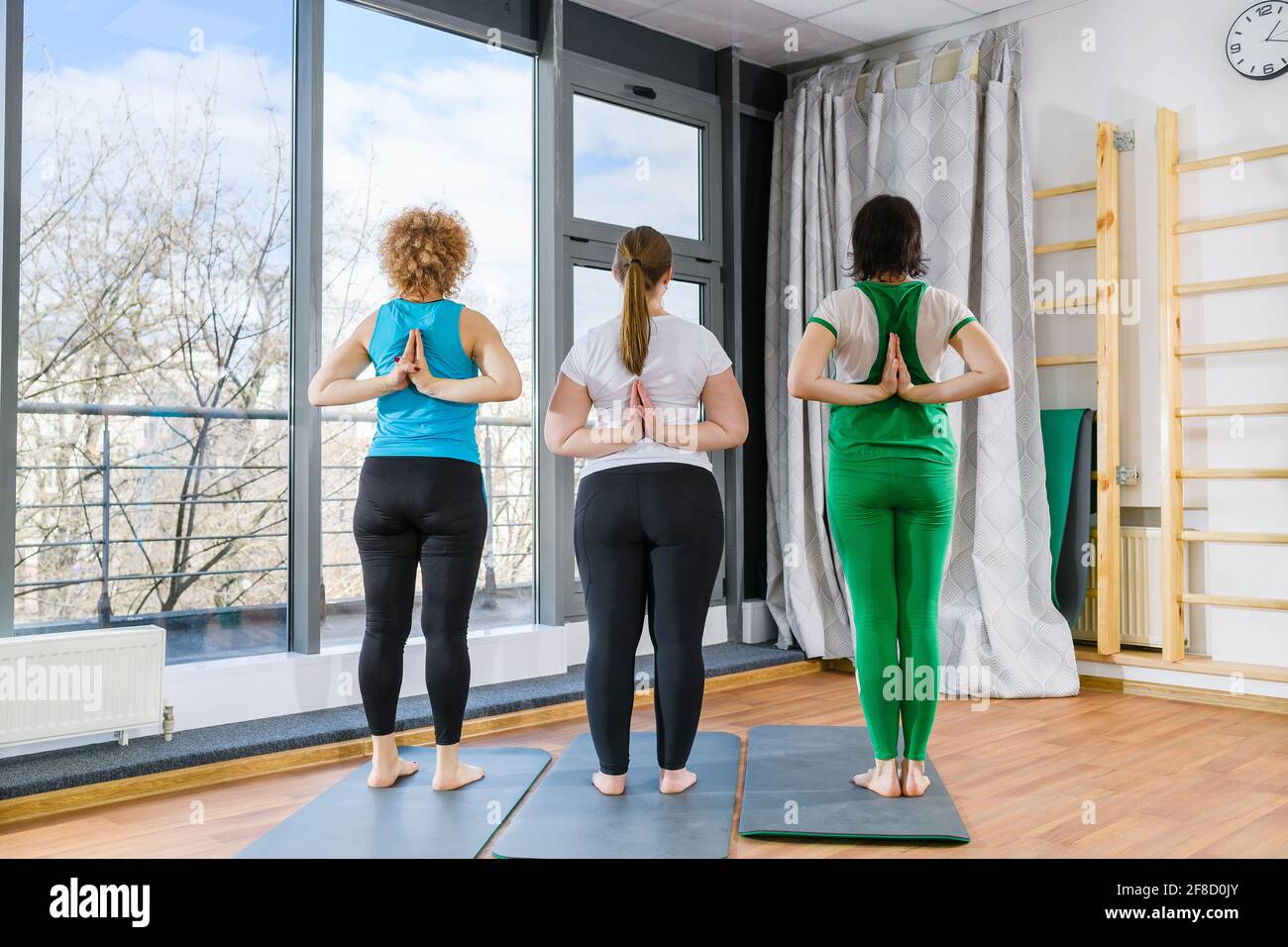 Back three legs hi-res stock photography and images - Alamy