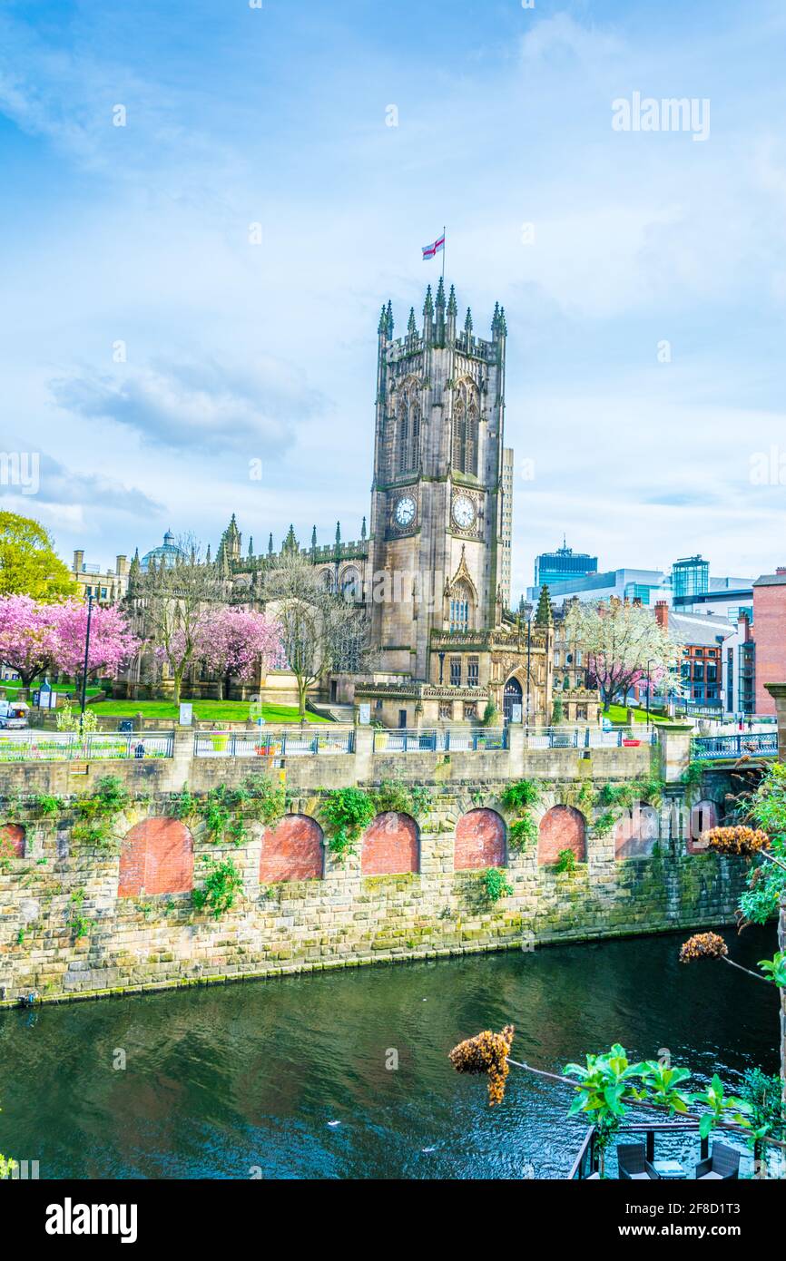 Manchester Cathedral, England Stock Photo - Alamy