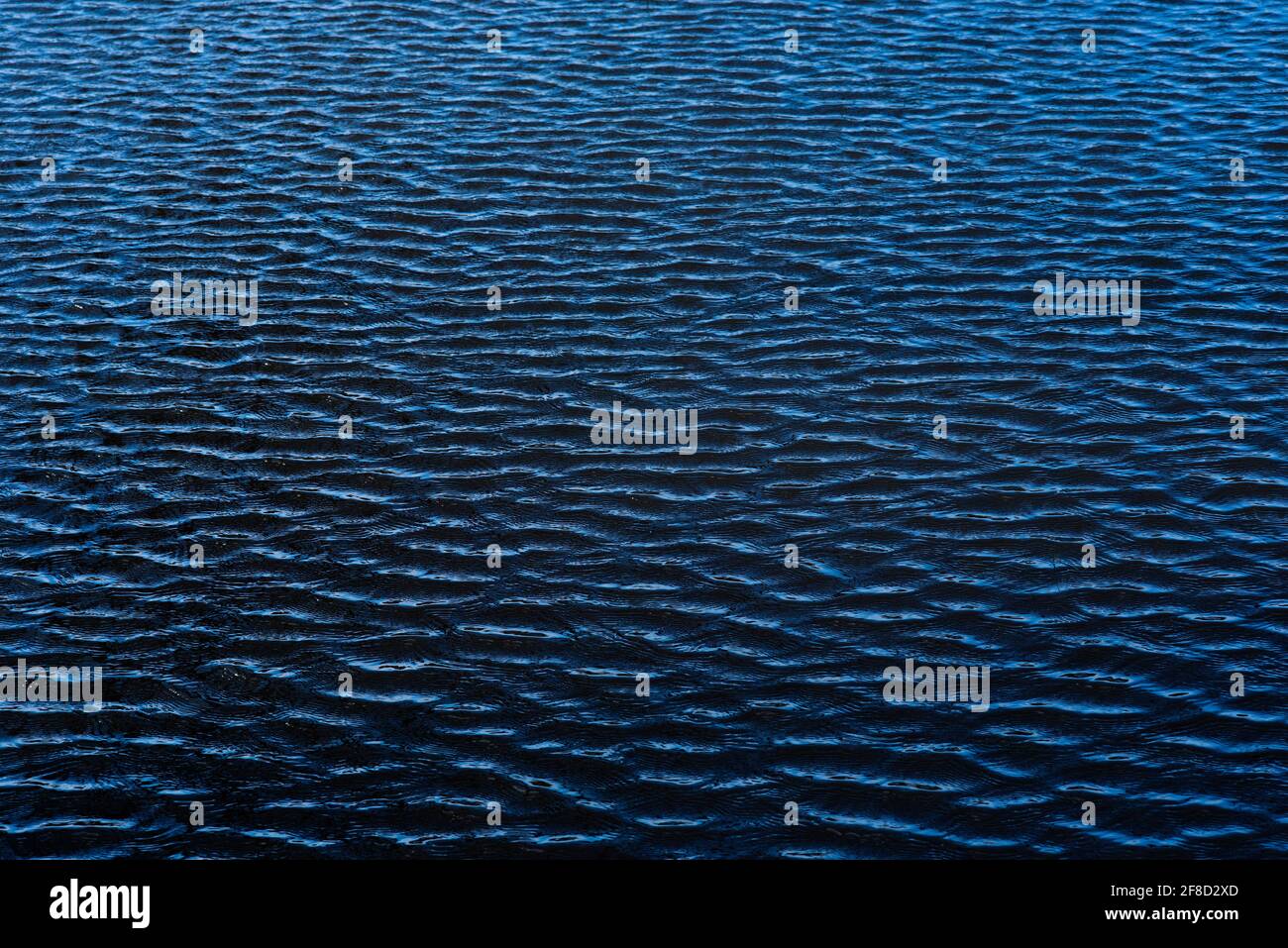 Flood Water Texture