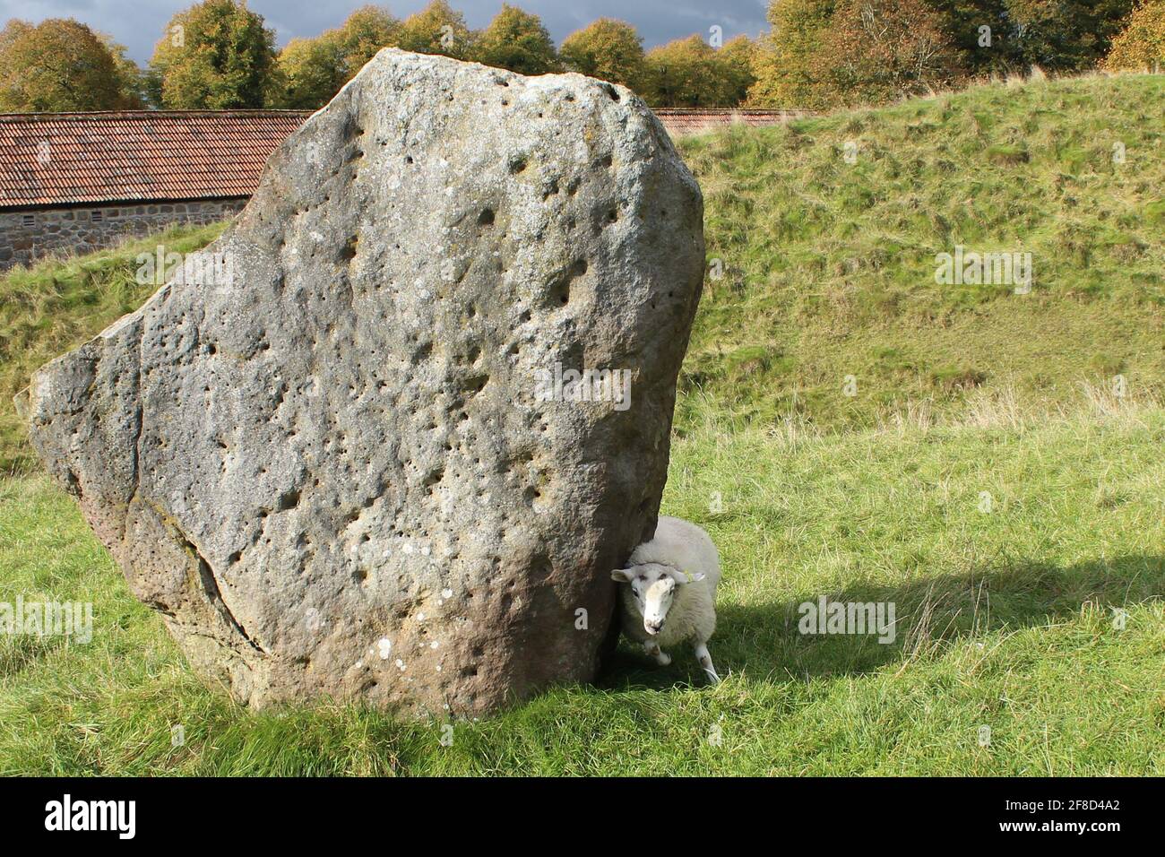 Field boulder hi-res stock photography and images - Alamy