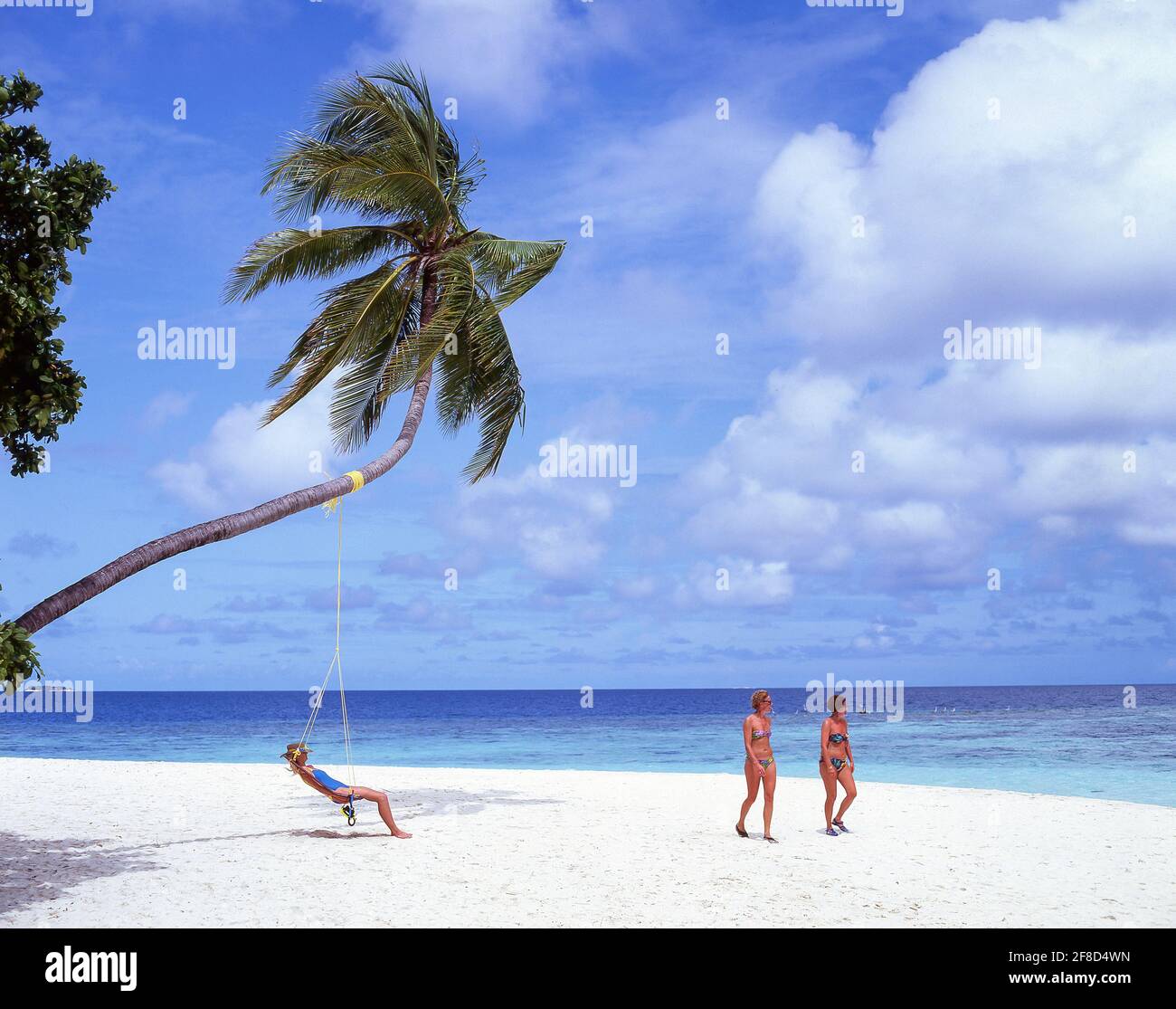 Young woman sitting beneath palm tree, Kuda Bandos, Kaafu Atoll ...