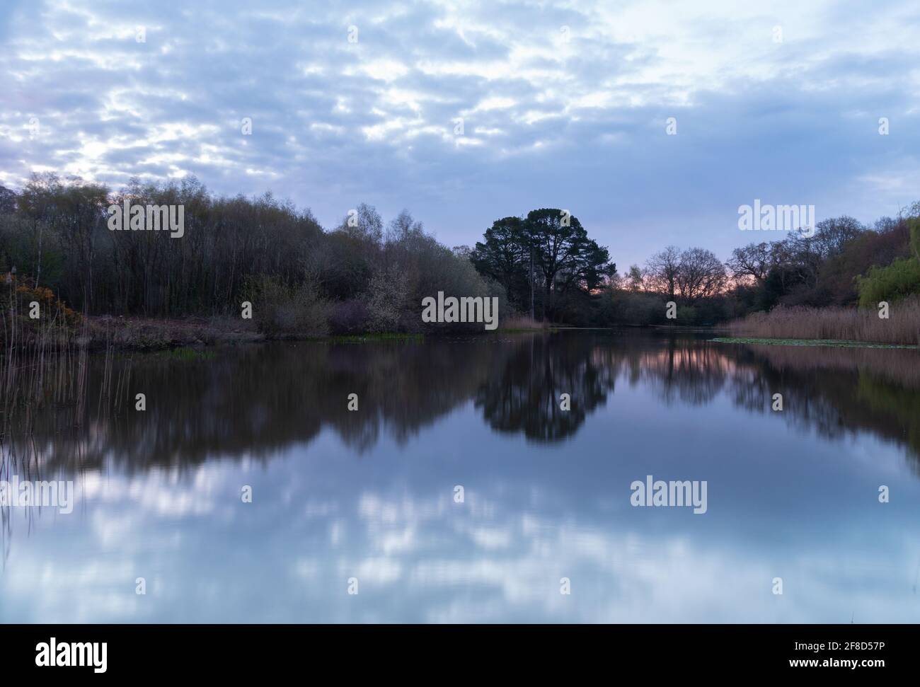 Sunrise at the Ornamental Lake, Southampton Common Stock Photo - Alamy