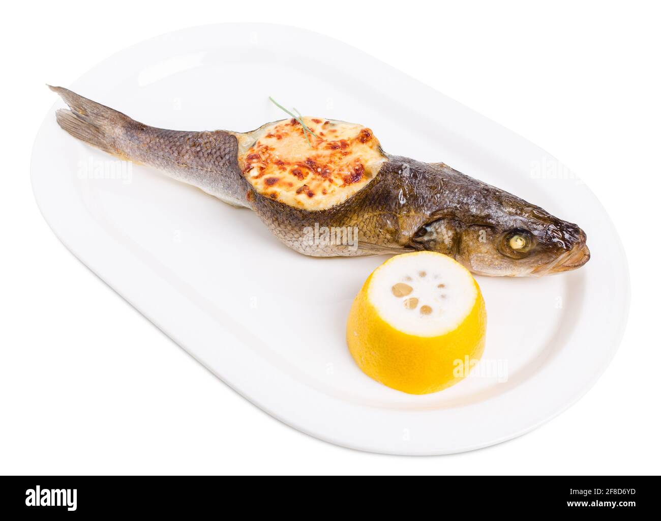 Baked sea bass stuffed with seafood and cheese. Isolated on a white ...