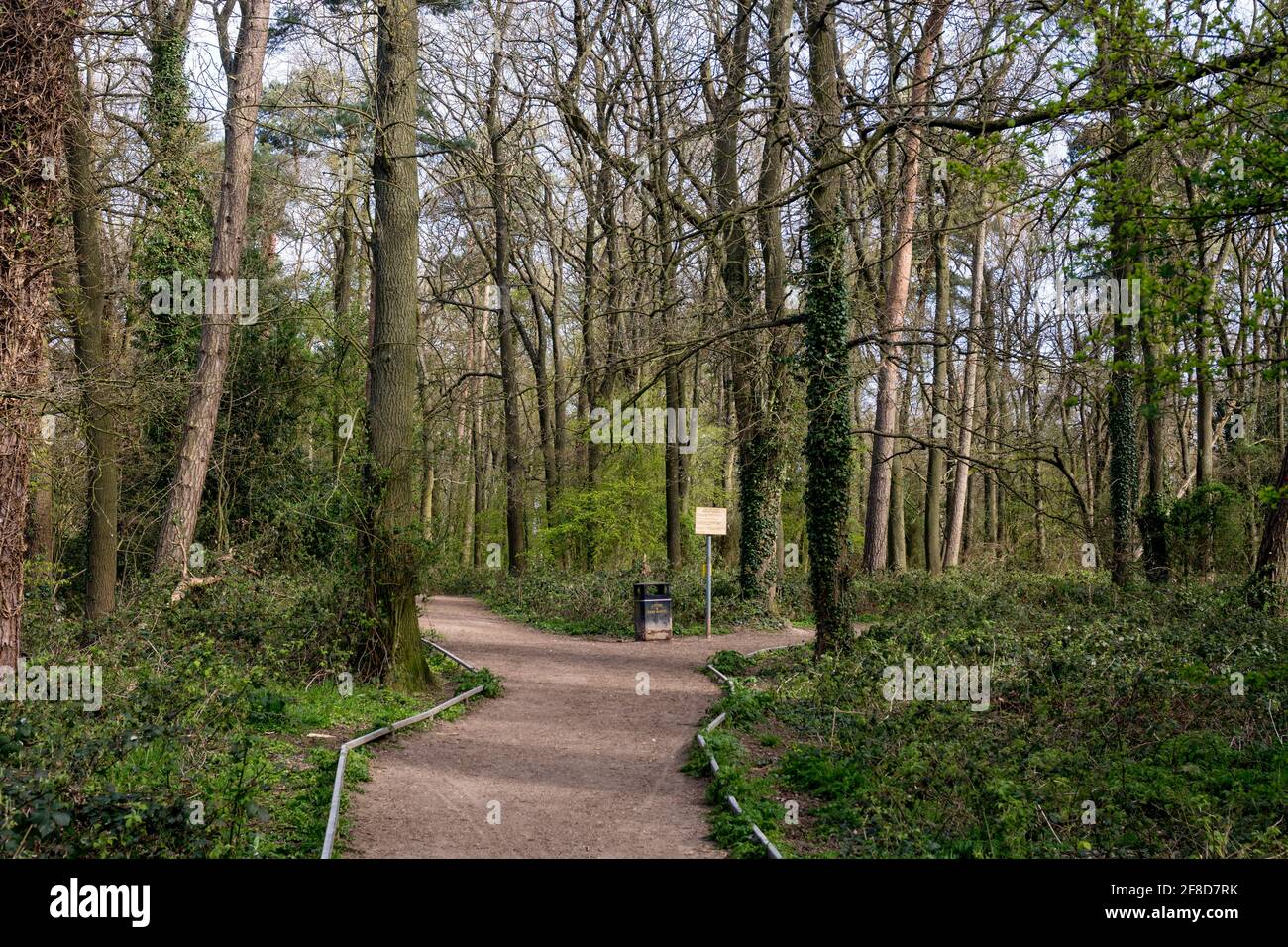 Tilehill Wood Nature Reserve in spring, Coventry, West Midlands ...