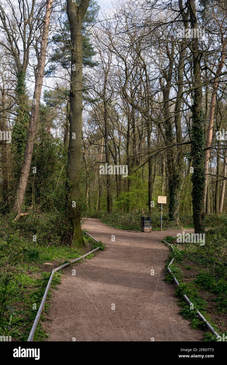 Tilehill Wood Nature Reserve in spring, Coventry, West Midlands ...