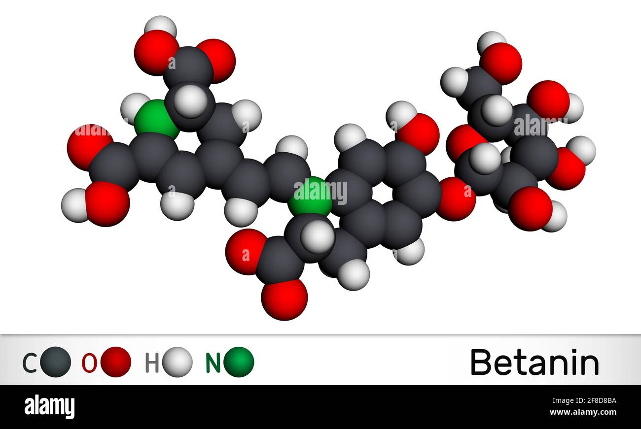 Betanin, molecule. It is betalain plant pigment, red glycosidic food ...