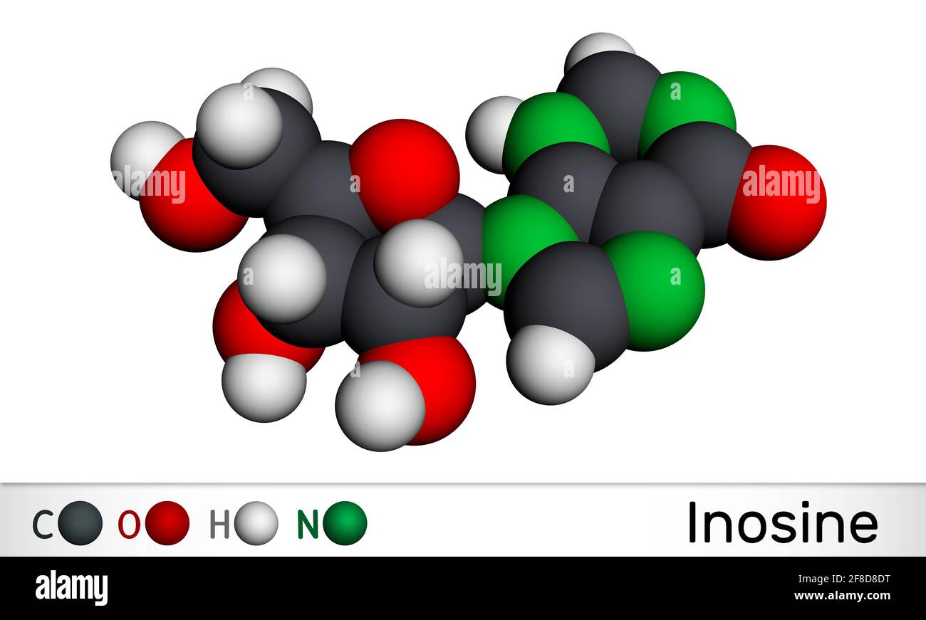 Trna hi-res stock photography and images - Alamy