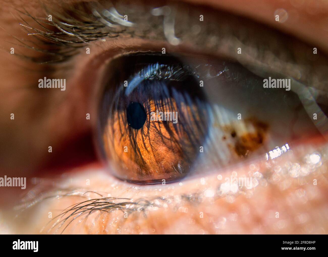 Circular eye hi-res stock photography and images - Alamy