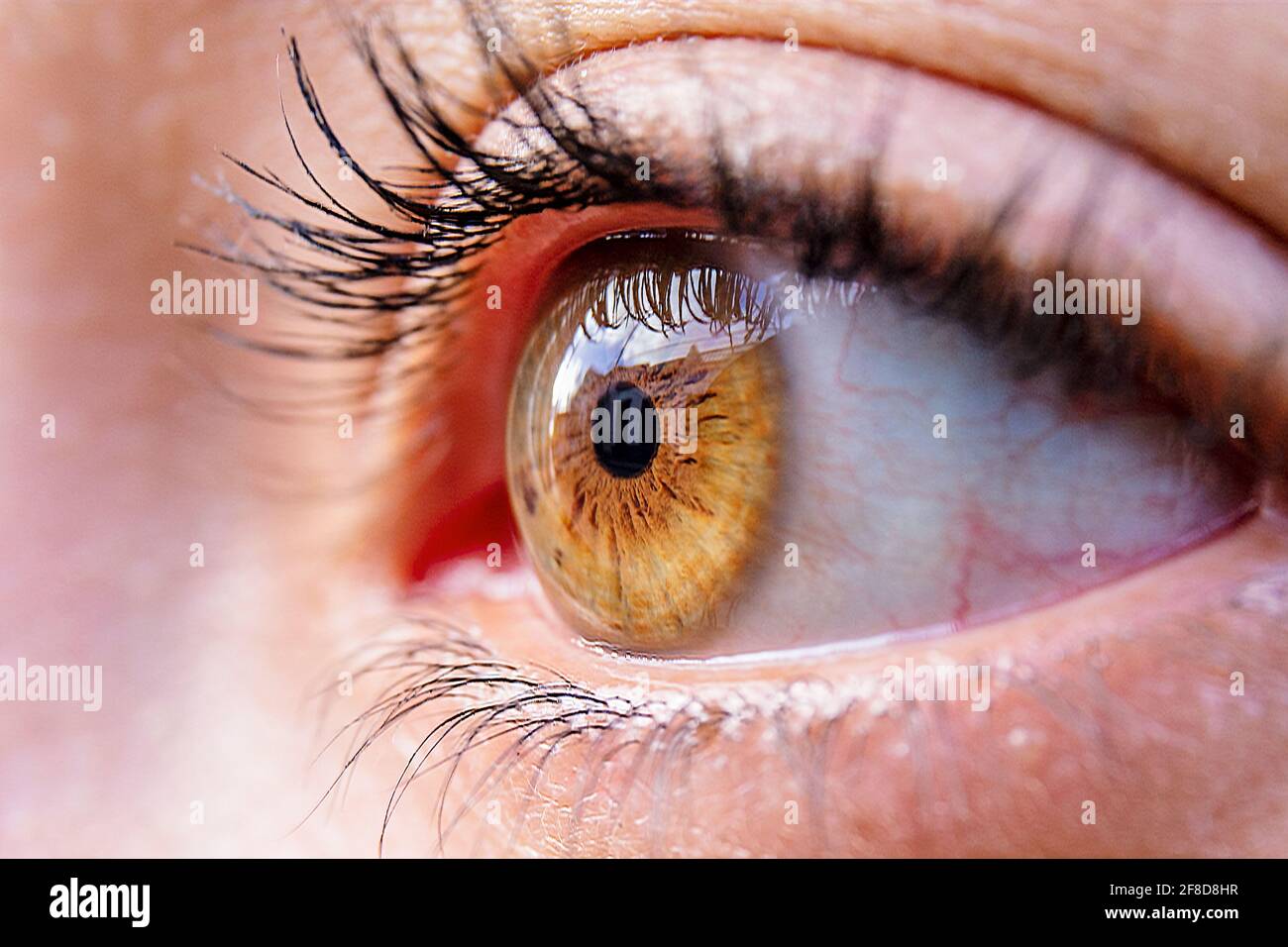 Circular eye hi-res stock photography and images - Alamy