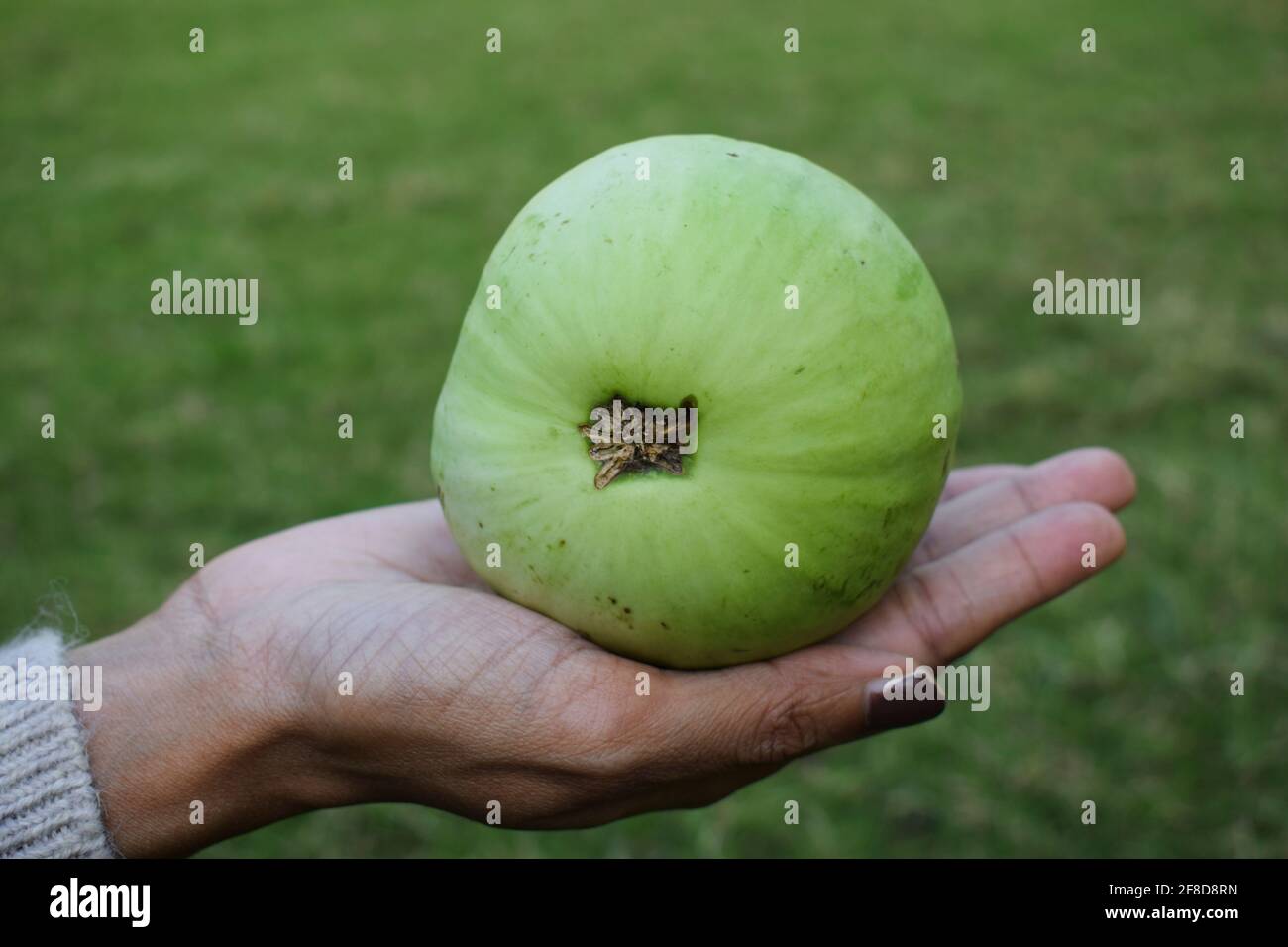 Fruit shaped house india hi-res stock photography and images - Alamy