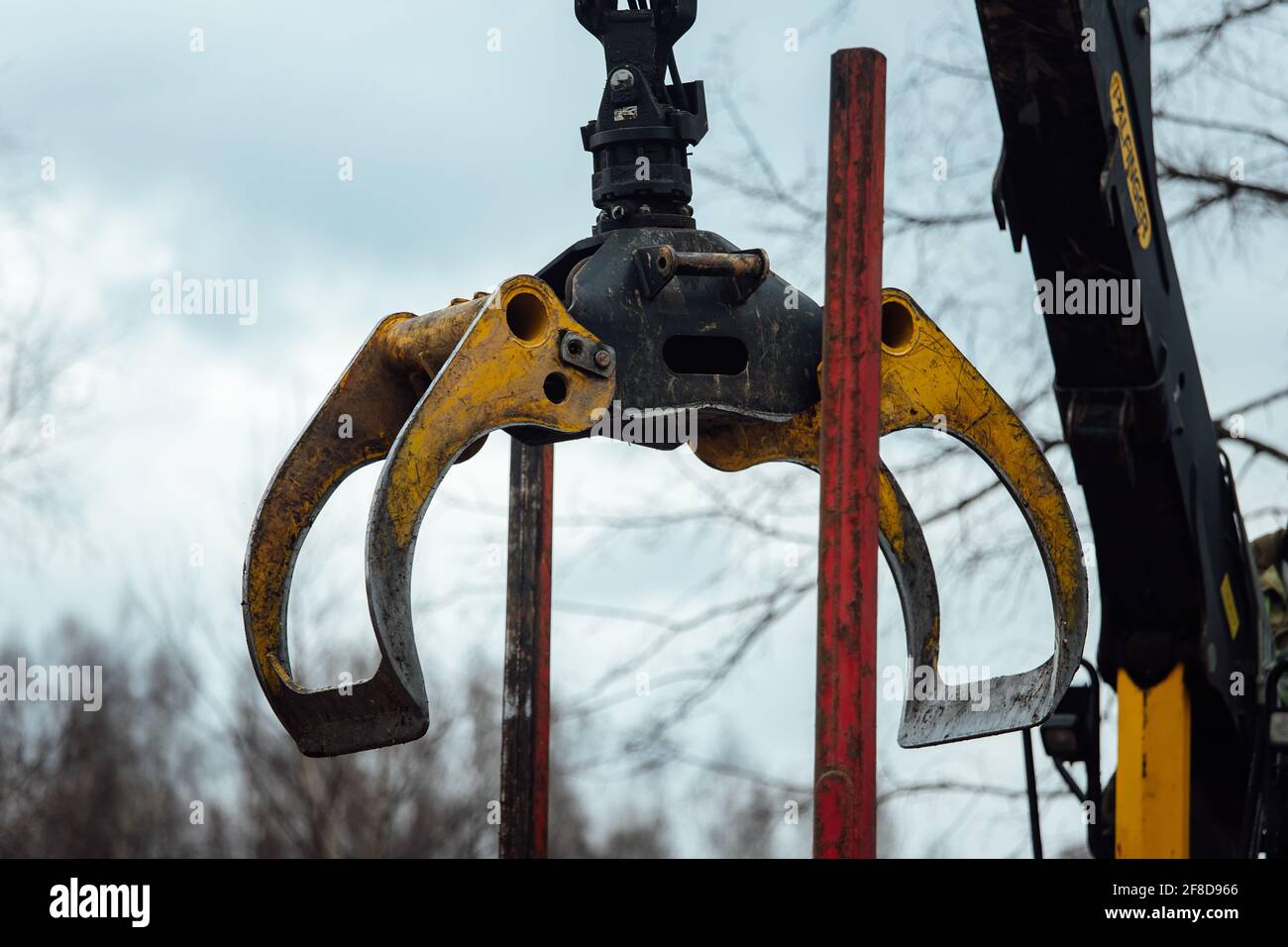 the crane loads the trees. the cut tree trunks are loaded into the body ...