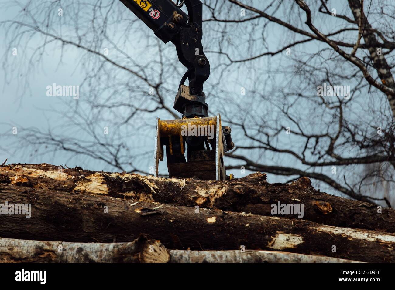 the crane loads the trees. the cut tree trunks are loaded into the body ...