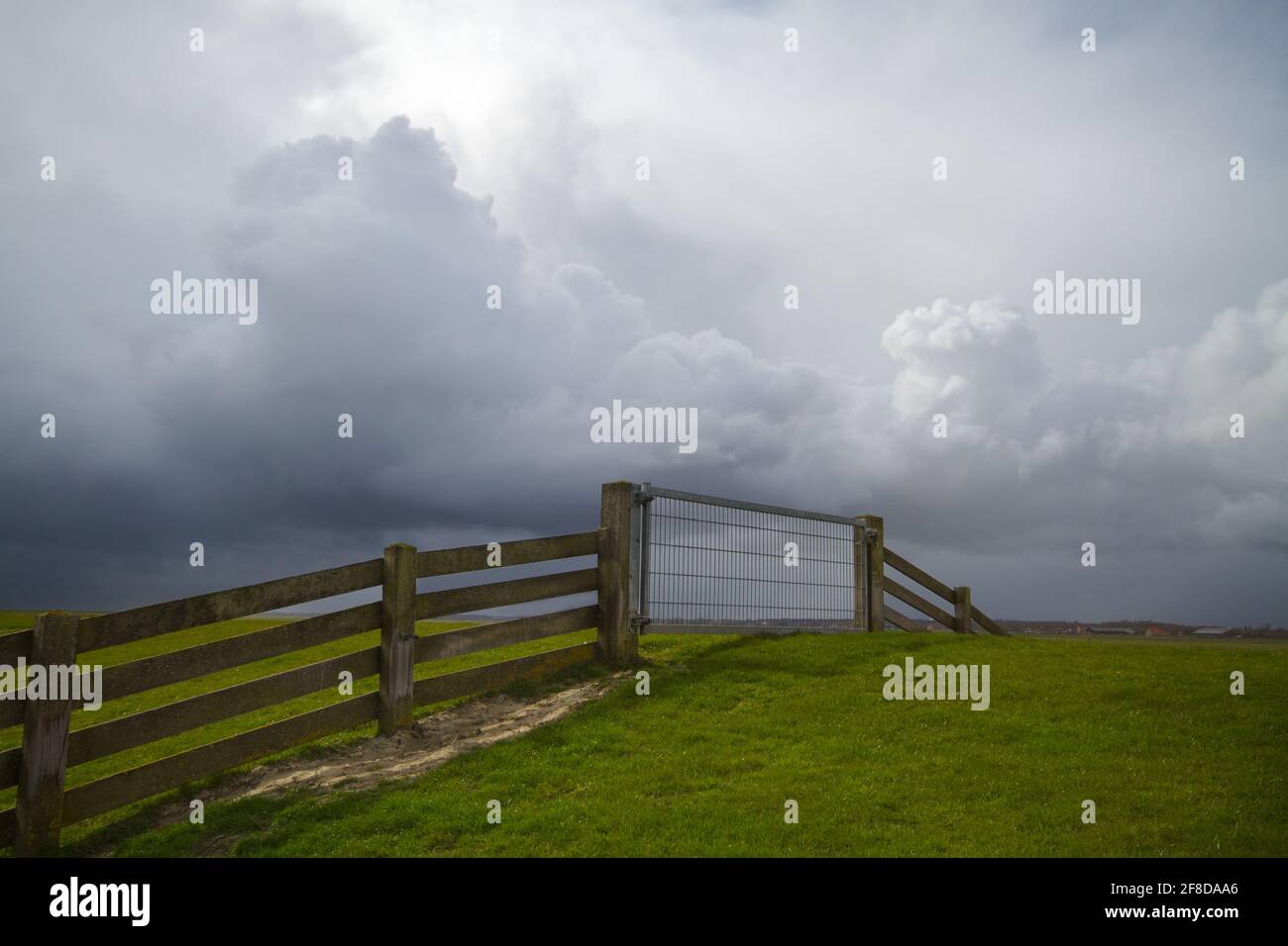 Dutch dike with grass cover, a fence made of planks and steel on a ...