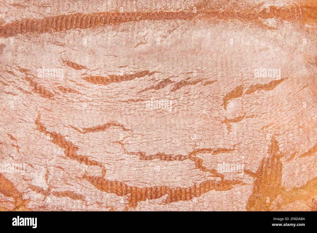 Fresh bread bakery food texture background, close-up Stock Photo - Alamy