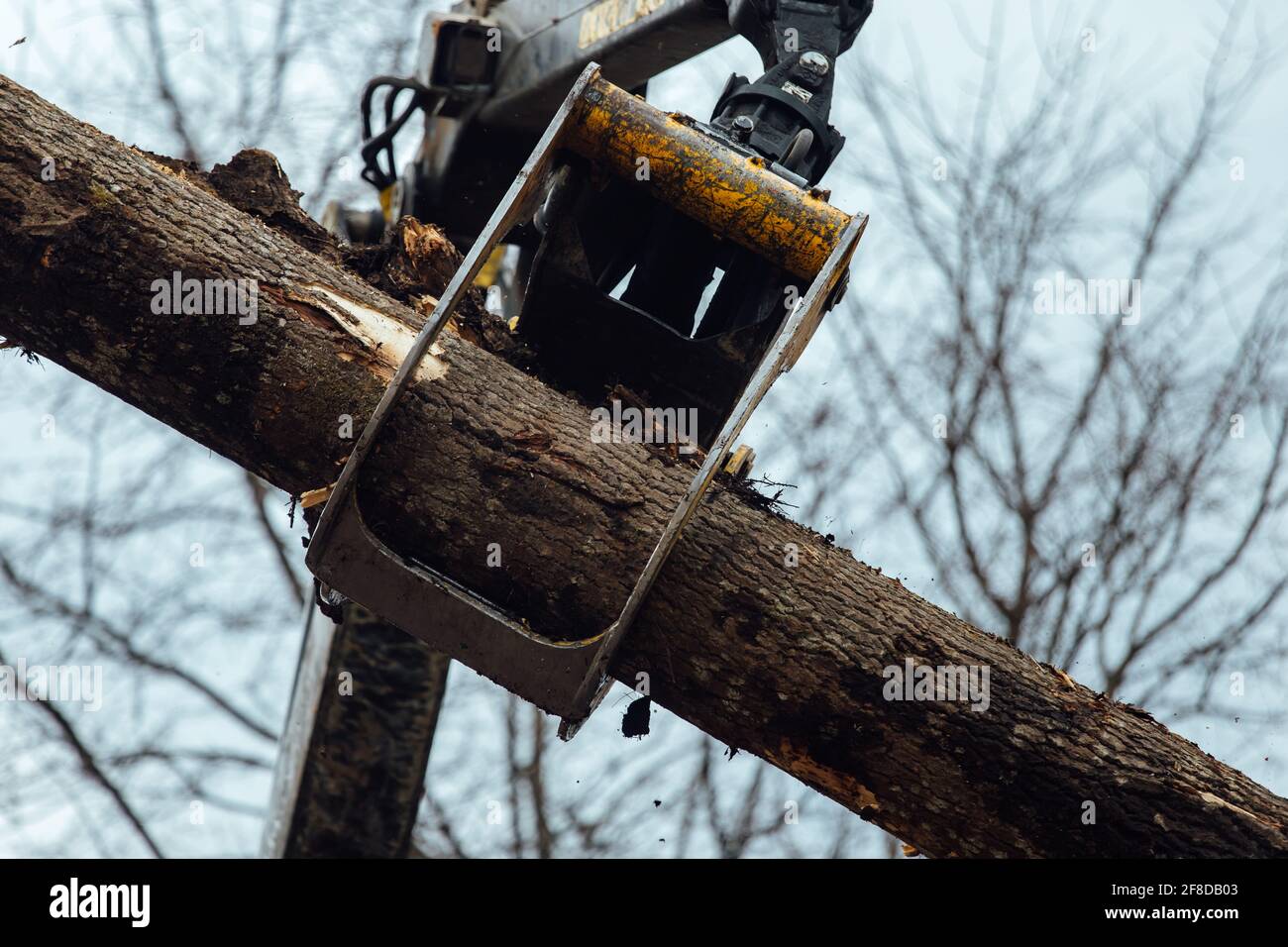 the crane loads the trees. the cut tree trunks are loaded into the body ...