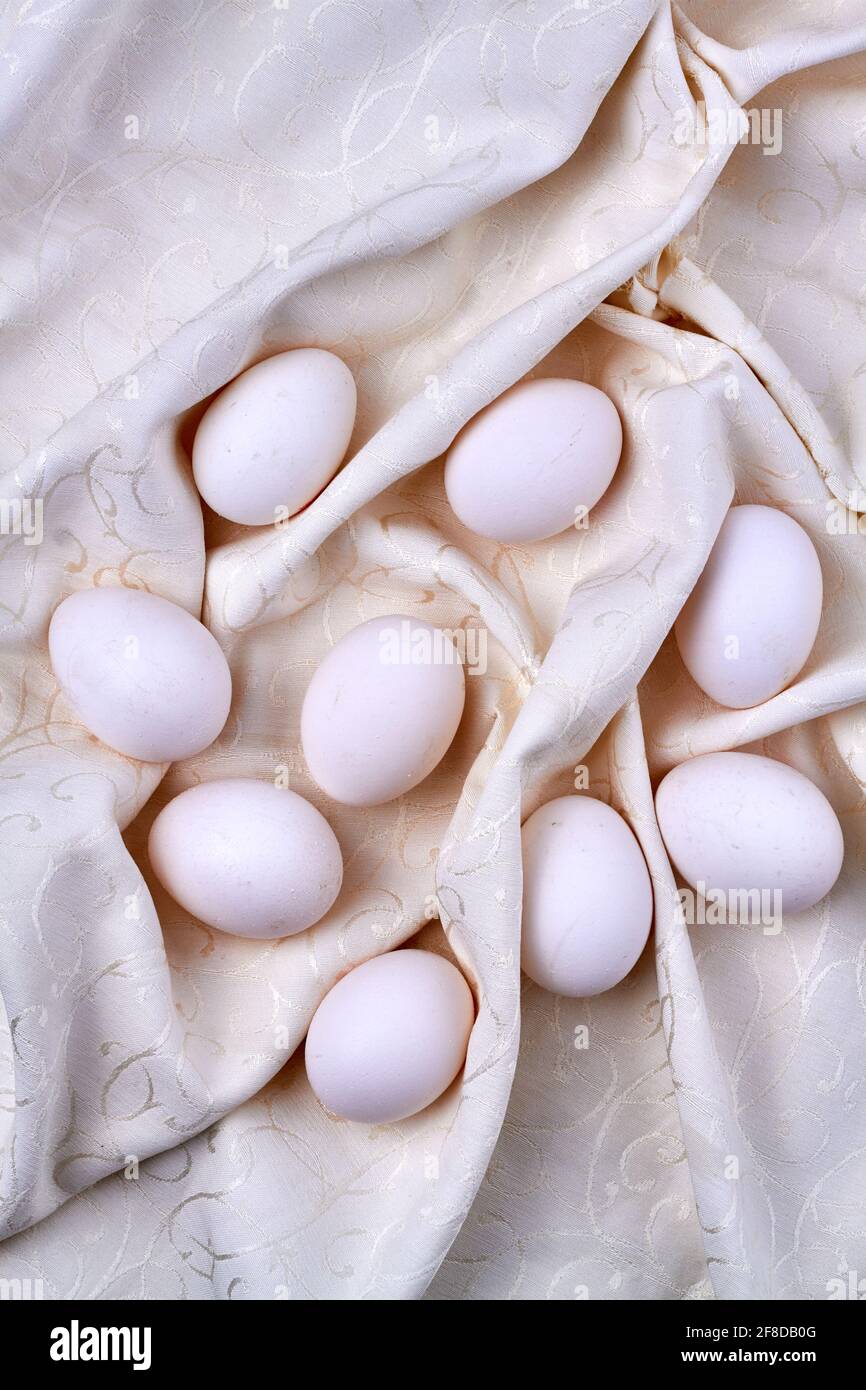 Chicken eggs on a white ornamented textile cloth Stock Photo - Alamy