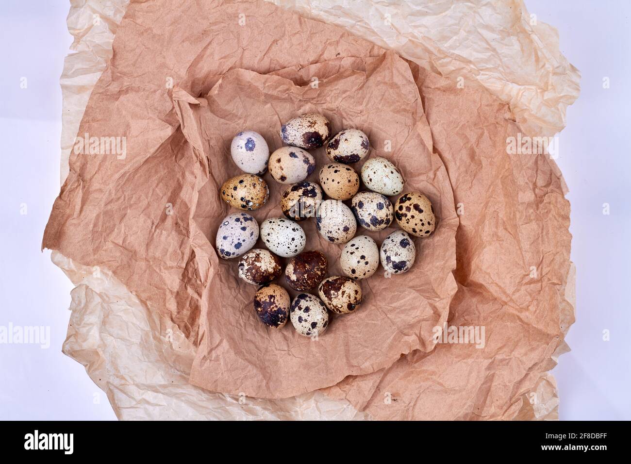Egg shell paper texture hi-res stock photography and images - Alamy