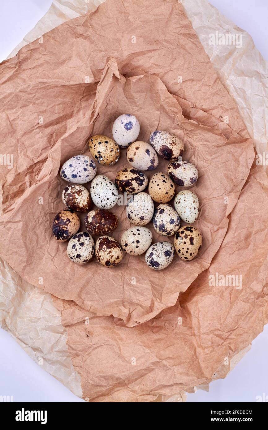 Egg shell paper texture hi-res stock photography and images - Alamy