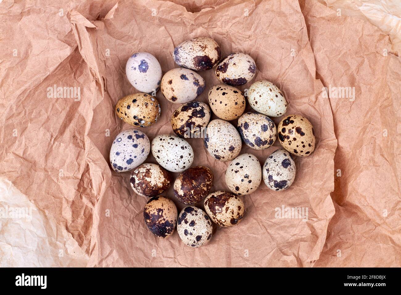 Top view spotted quail eggs Stock Photo - Alamy