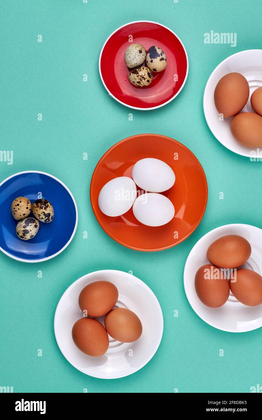 Colored eggs on plates hi-res stock photography and images - Alamy