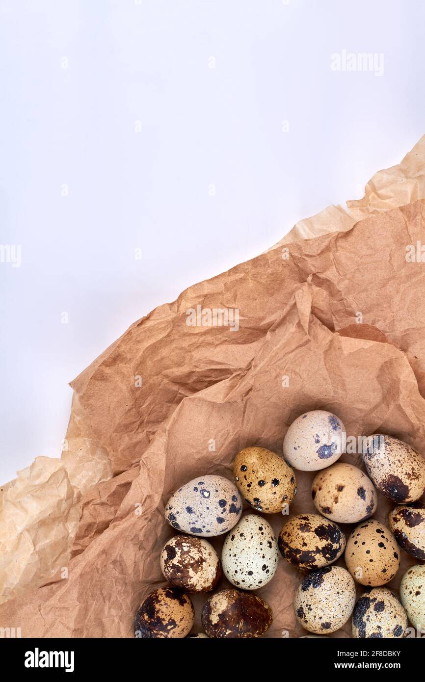 Egg shell paper texture hi-res stock photography and images - Alamy